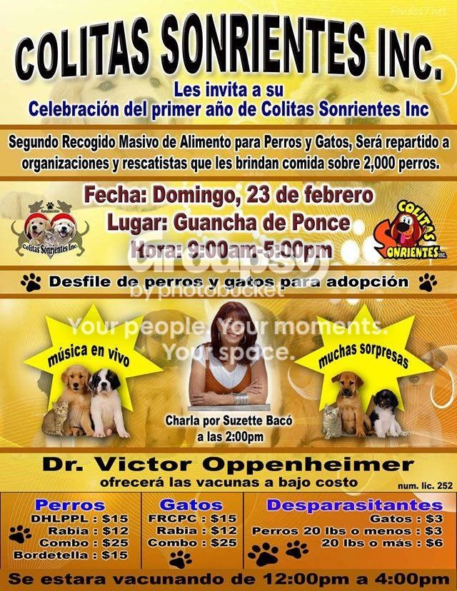 A mover las colitas con nuestros perritos – World Max News