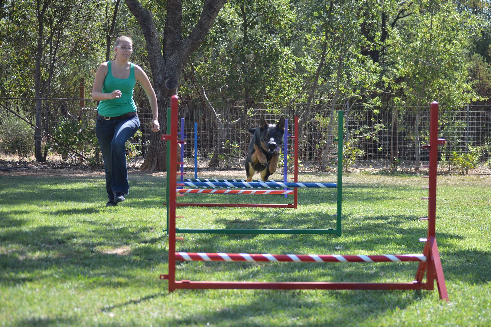 So we started agility. | German Shepherds Forum
